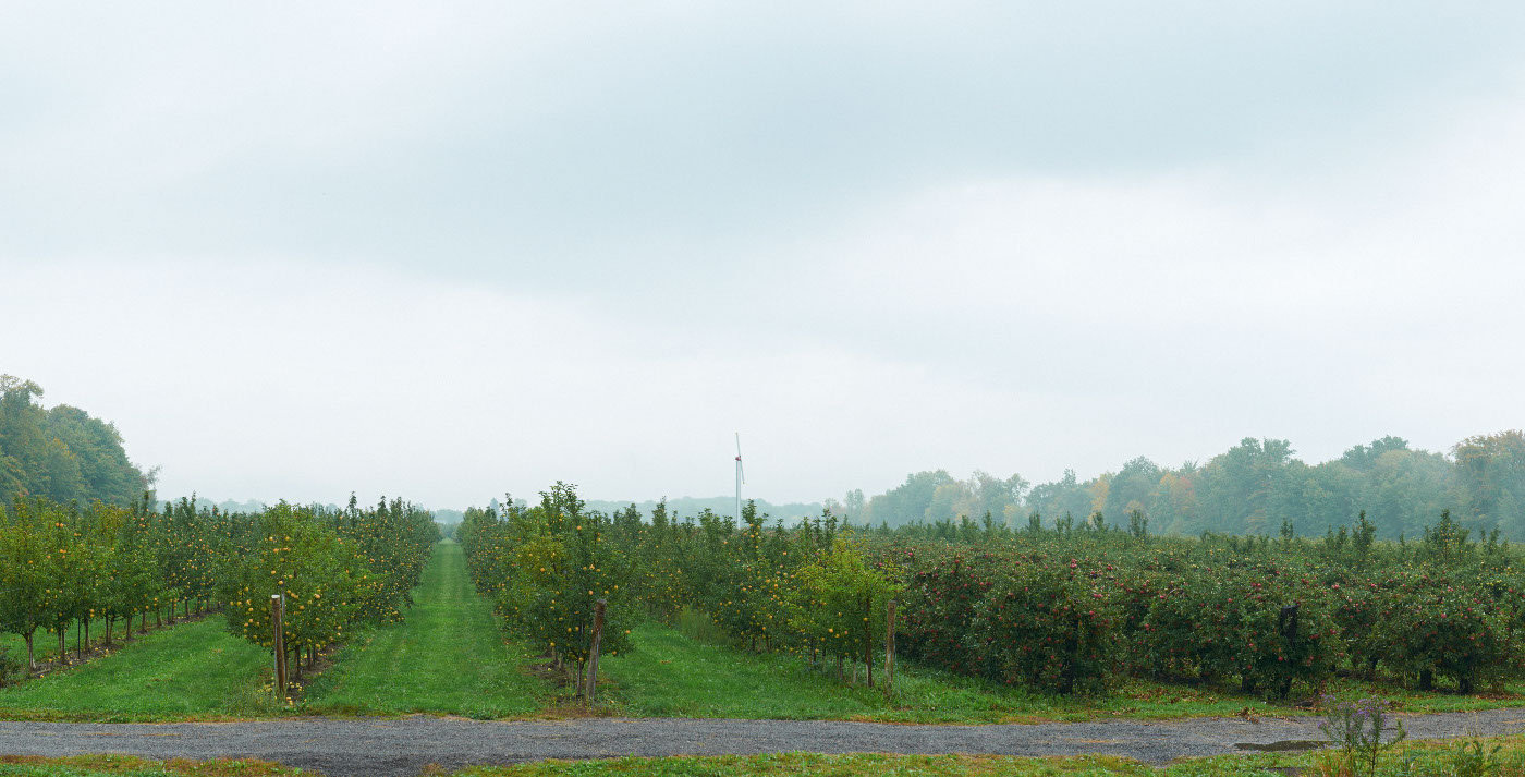 DeVries Fruit Farm – Pick Your Own Farm Niagara