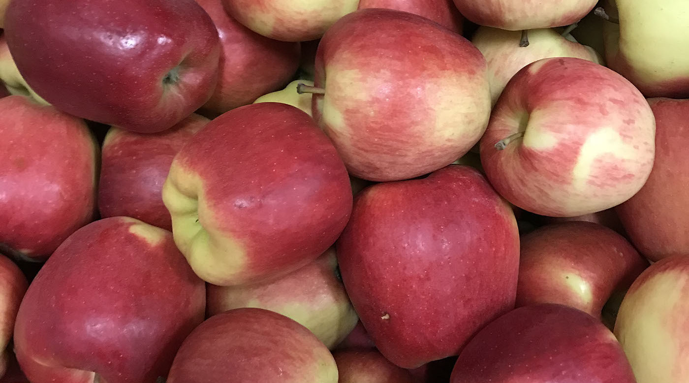 DeVries Fruit Farm – Pick Your Own Farm Niagara