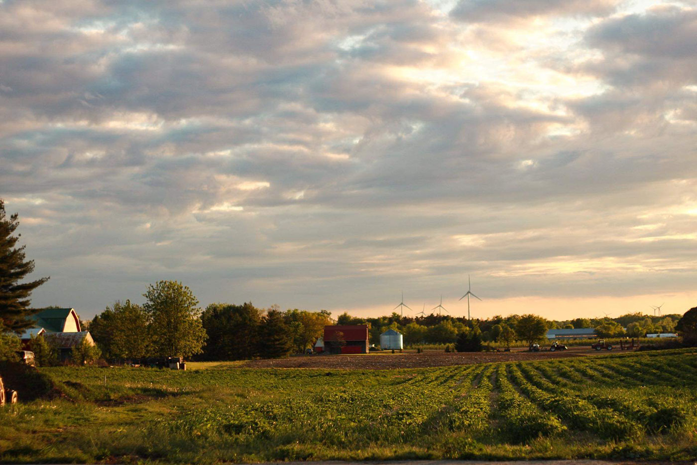 DeVries Fruit Farm – Pick Your Own Farm Niagara